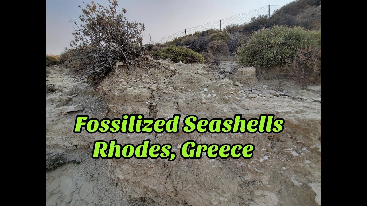 Fossilized Seashells Found on Top of the Mountains in Rhodes, Greece ...