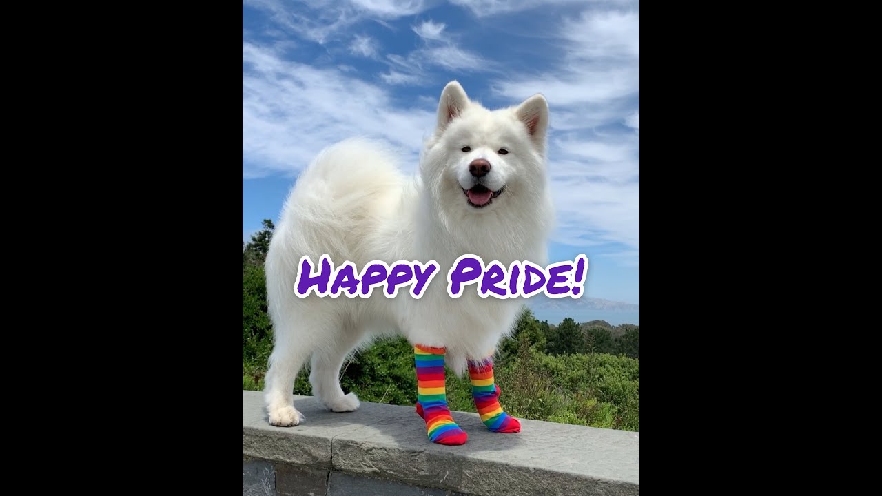 Happy Pride 2020! - YouTube