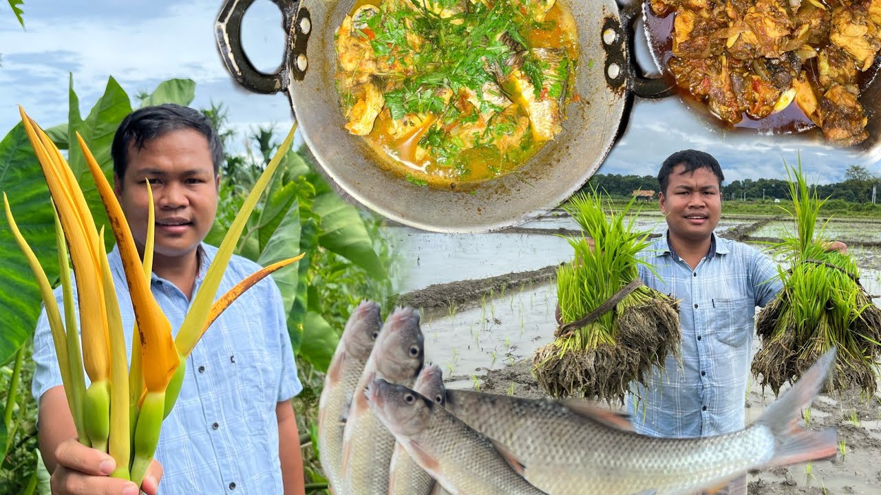 Cooking Chicken and Fish | Cooking Kuchu Flower recipe in Village style ...