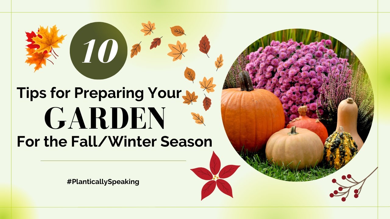 10 Tips For Preparing Your Garden For Fall & Winter Season - YouTube