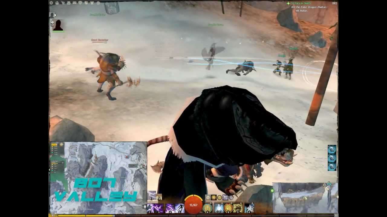 Guild Wars 2: Bot Valley - YouTube