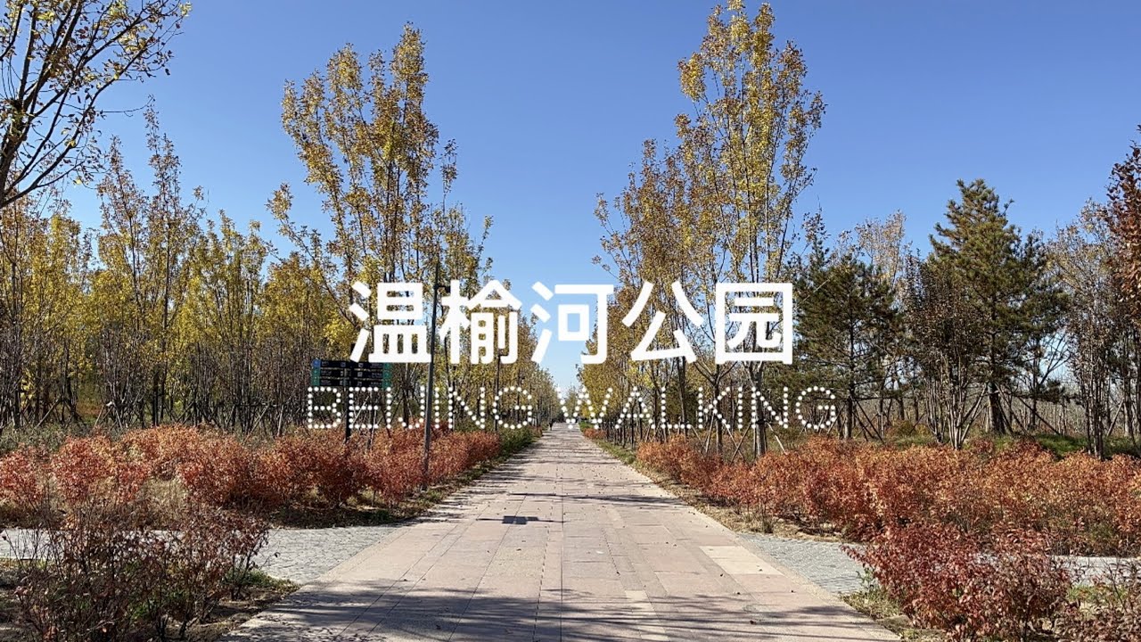 Beijing Walking,Wenyu River Park in Autumn【4K HDR】 - YouTube