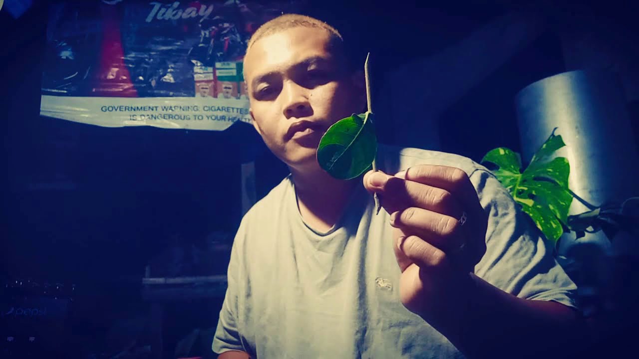 How to Plant using ICU or Vacuum - YouTube