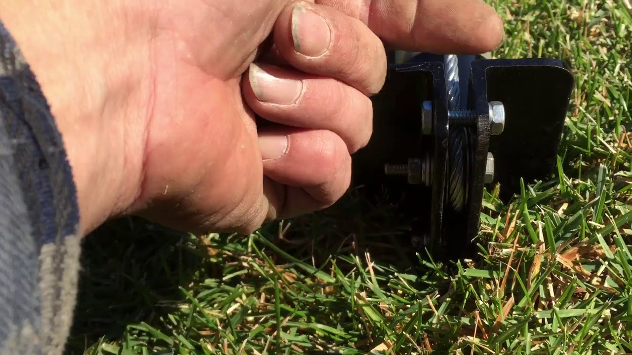 Mega tree before setup - YouTube