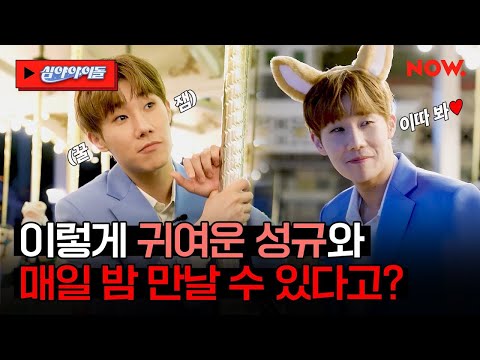 [Türkçe Alt Yazılı] Kim Sunggyu - Midnight Idol Poster Çekimleri Kamera Arkası 🎡
