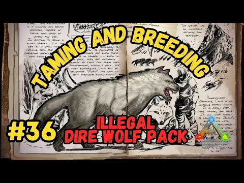 Taming And Breeding Illegal Wolf Pack |ARK MOBILE|SEASON 2| PART 36 ...
