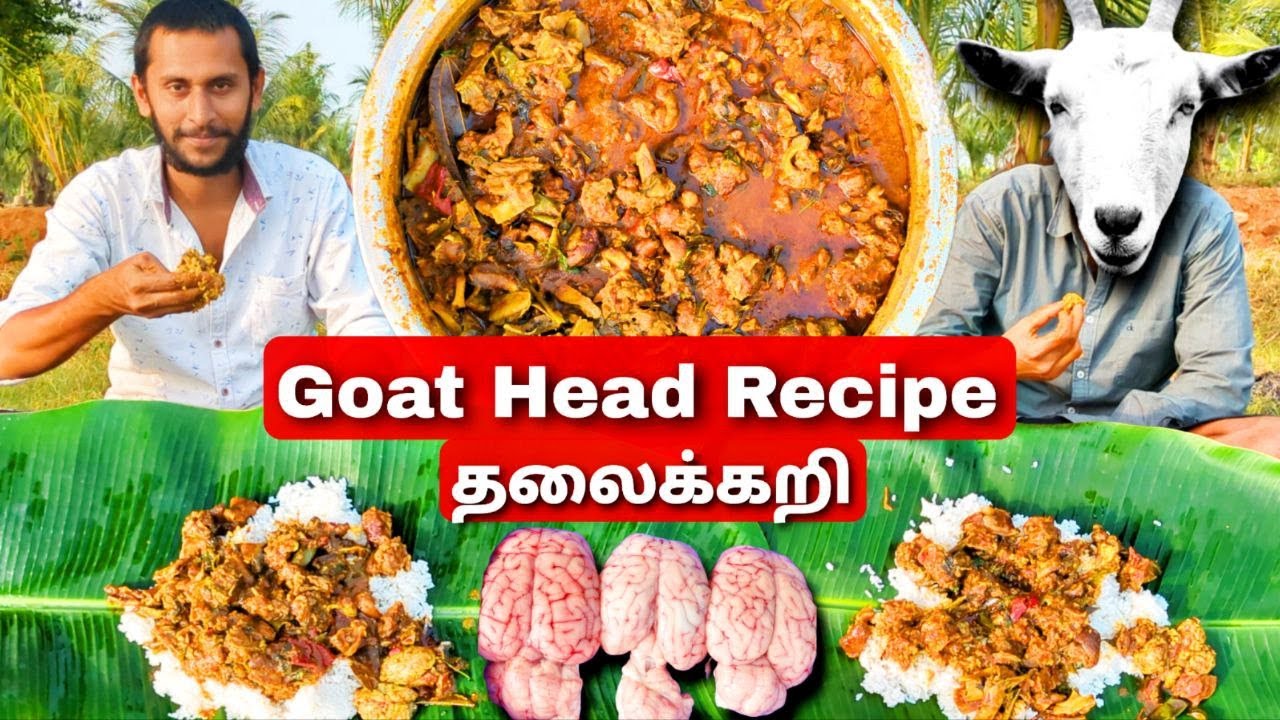 ஆட்டு தலைக்கறி வறுவல் | GOAT HEAD FRY | Goat Head Recipe - YouTube