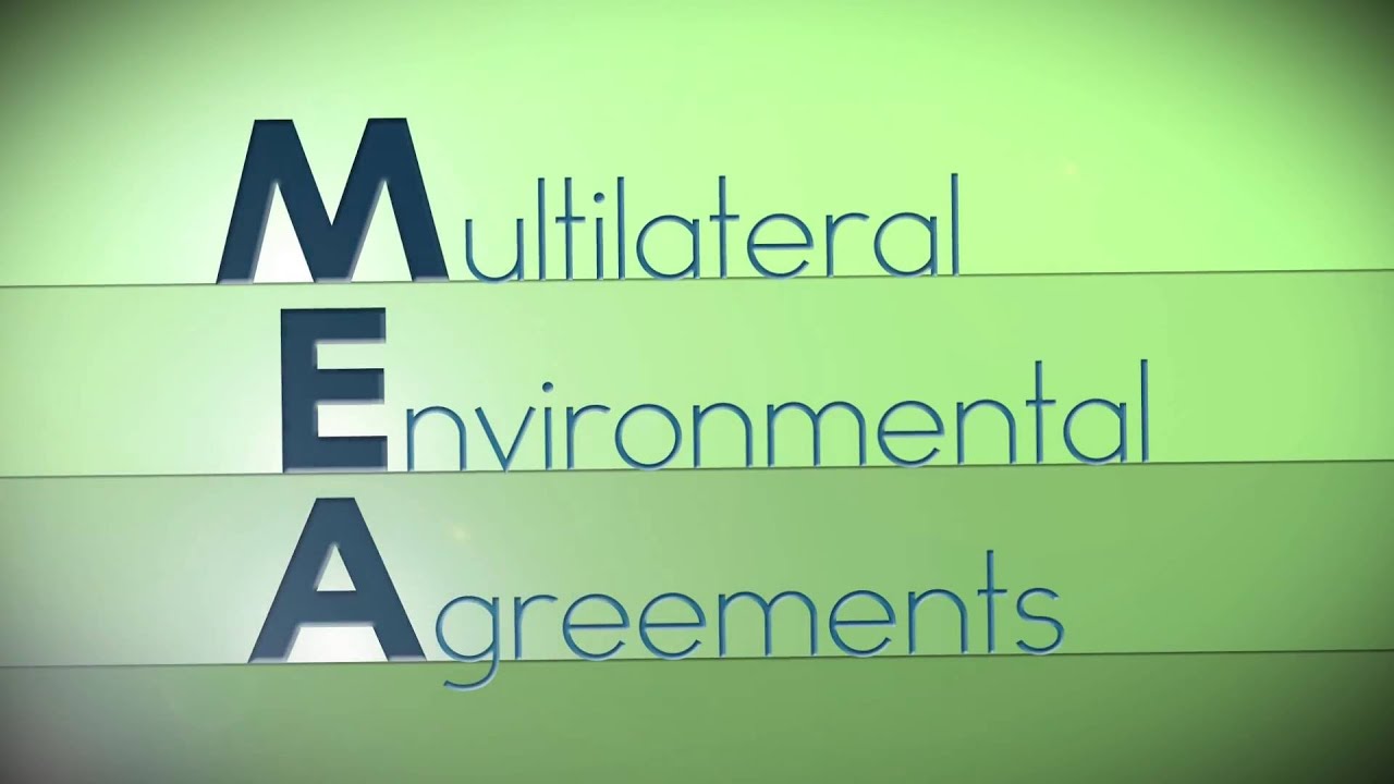 Multilateral Agreements 2016 - YouTube