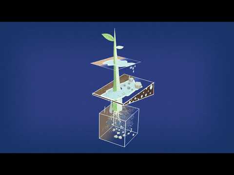 Animation: How AQUA4D® manages soil salinity and allows irrigation with ...