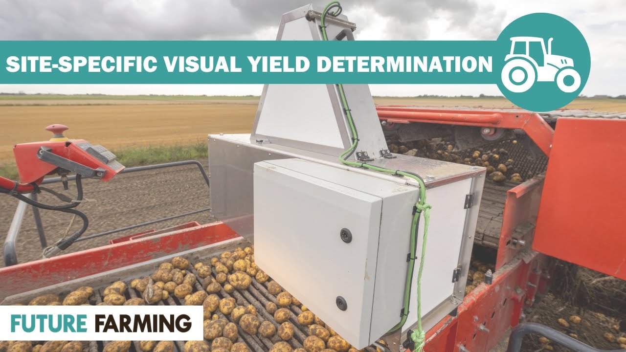 Site-specific visual yield determination in seed potato harvesting ...