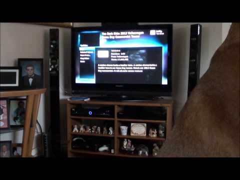 Ginger likes star wars