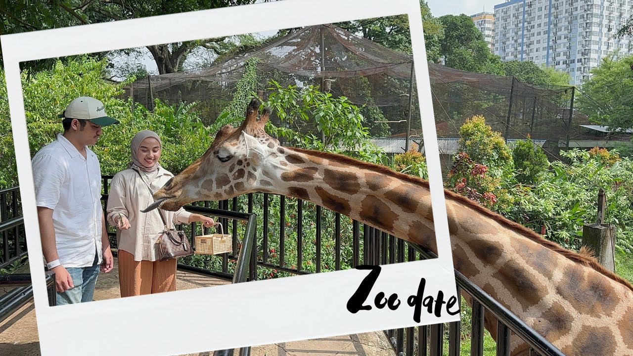 Ica’s VLOG | zoo zoo zoo date! - YouTube
