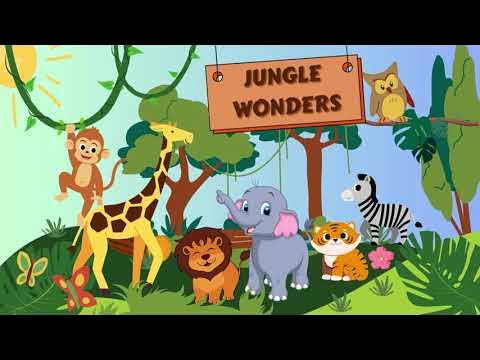 Jungle Wonders ( Jungle Animals ) - YouTube
