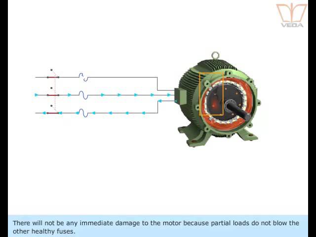 Effect Of Single Phasing In 3 Phase Induction Motor - Infoupdate.org