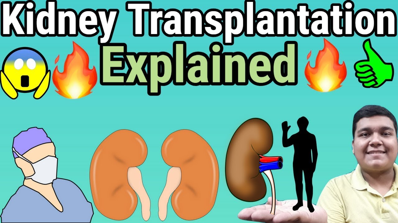 Kidney Transplantation Explained How It Is Performed YouTube kidney-transplantation-explained-how-it-is-performed-youtube