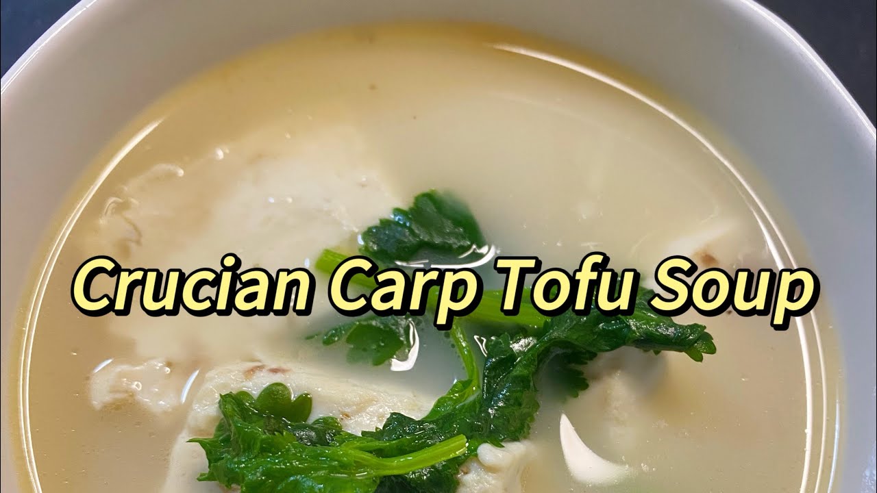 Cantonese Delight: Crucian Carp Tofu Soup - A Recipe You'll Crave Again ...