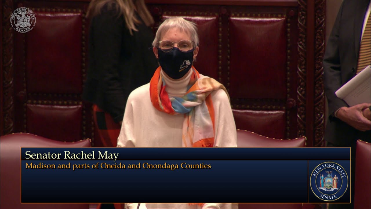 Senator May's Floor Speech on Green Amendment -- Right to Clean Air and ...