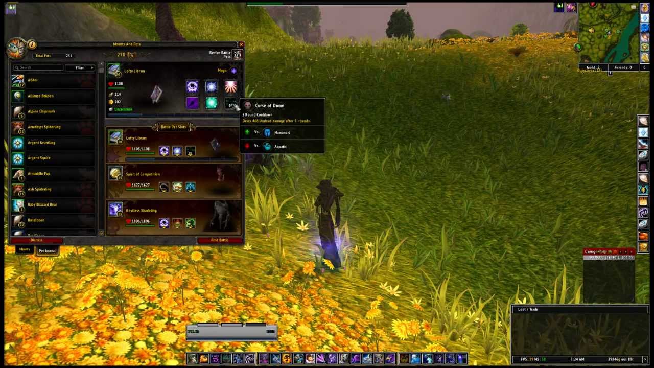 WoW Pet Battle Tutorial - Lofty Libram - YouTube