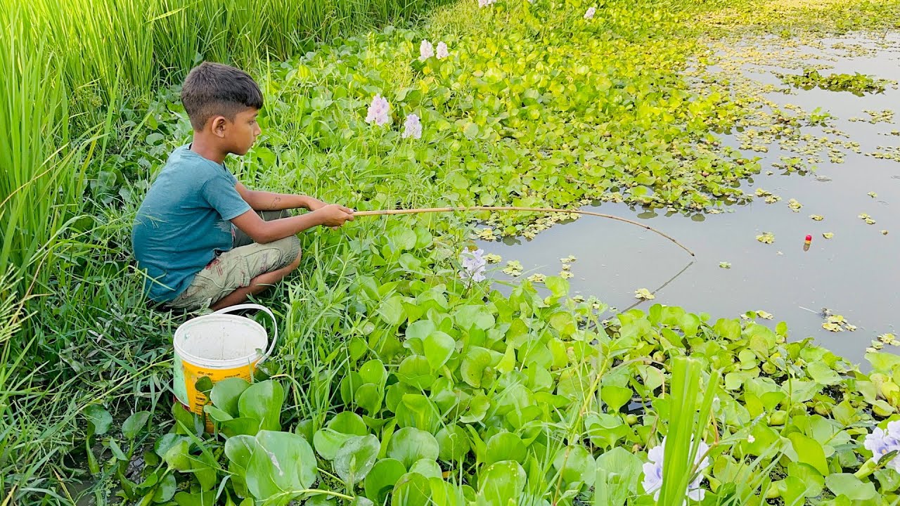 Village Fishing Video 2023 | Village Small Boy Catch Fish by Hook From ...