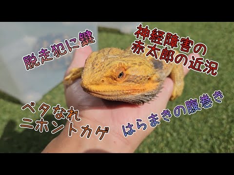 なんだかんだ報告 - YouTube