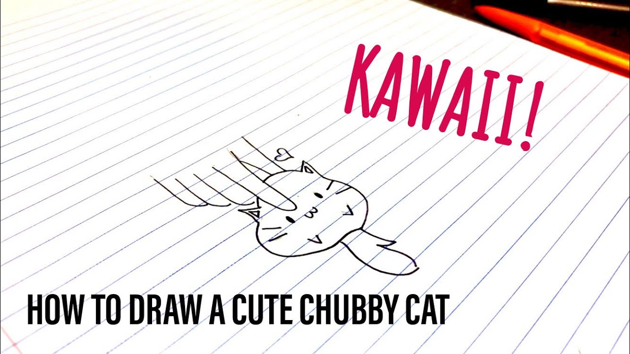 DRAW- How to draw a CUTE chubby cat - YouTube