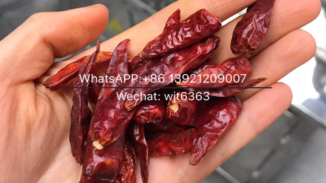 WF Automatic Pepper Chili Chilli grinder powder processing making ...