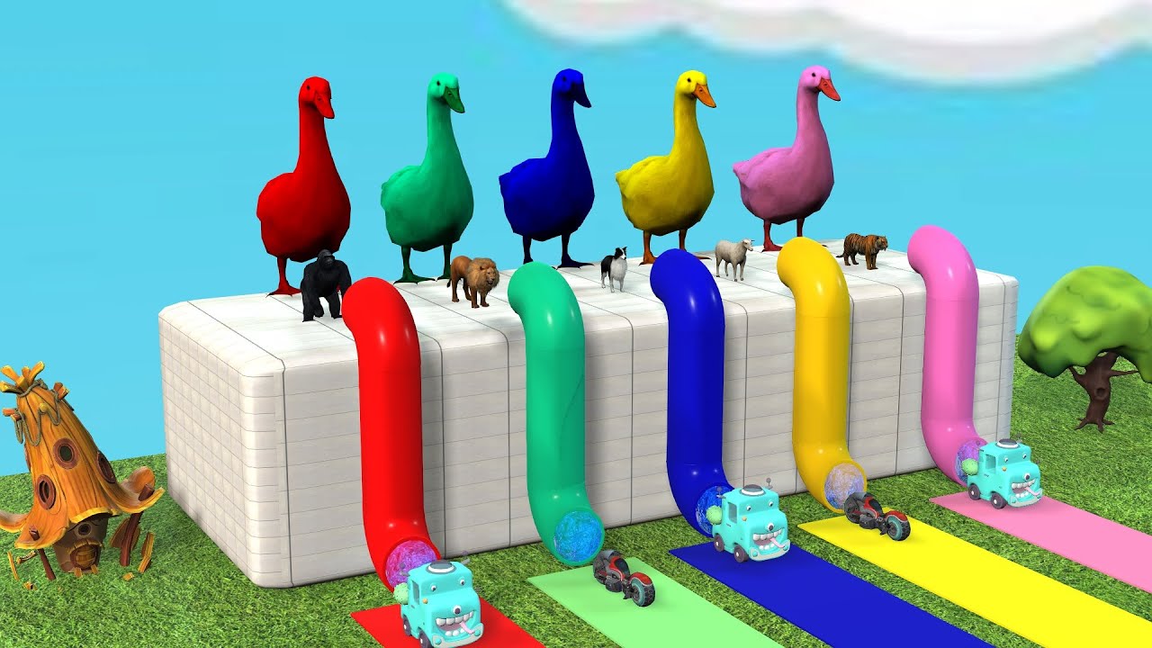 Cat,Frog,Duck,Sheep,Rabbit ,transformation of 5 giant ducks- #animals# ...