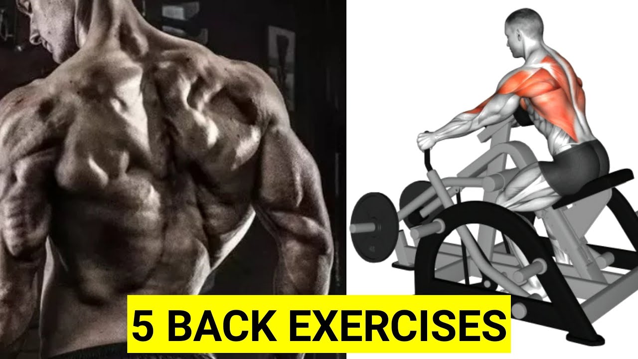 5 Quick Effective Back Exercises - YouTube