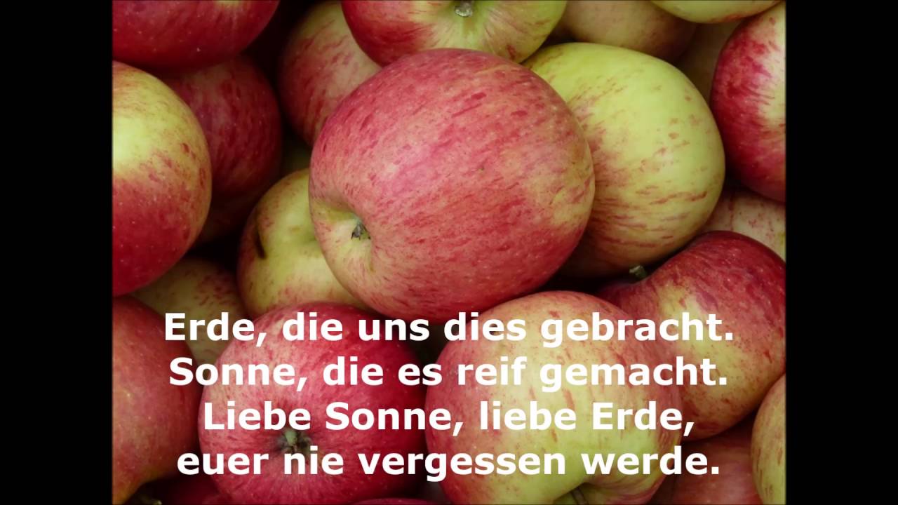 Erde Die Uns Dies Gebracht