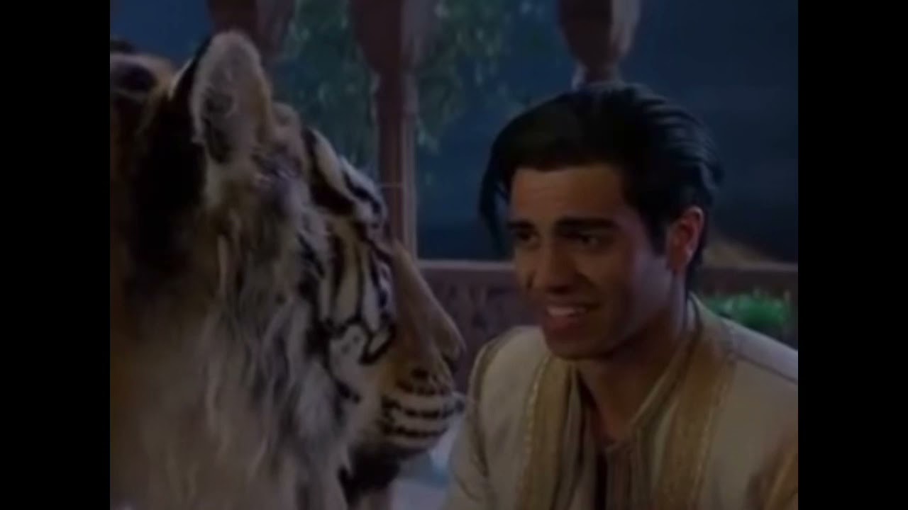 Aladdin Rajah licks Aladdin - YouTube
