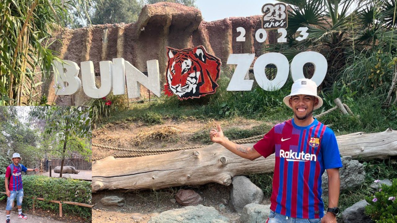 Visitando el ZOOLÓGICO BUIN ZOO 🐒 en CHILE - ¿ EL MÁS GRANDE ?😱¿VALE LA ...