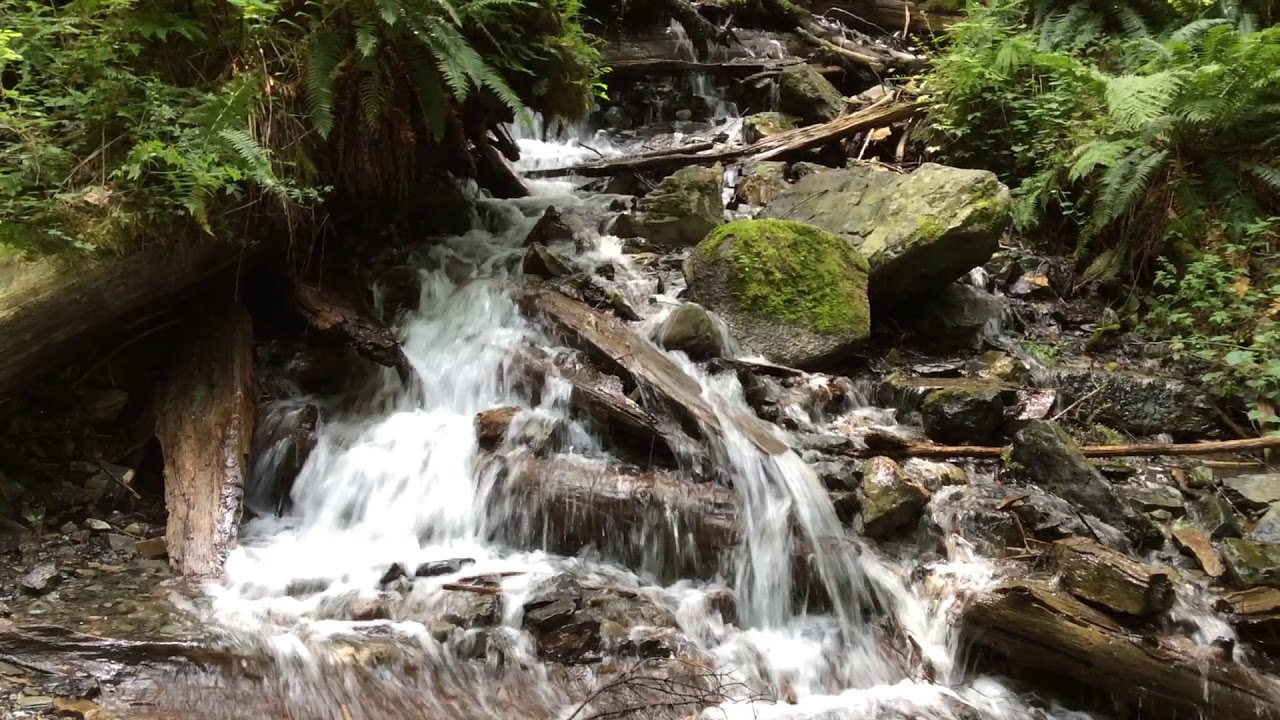 Awaken To Ken Davis Music Promo - YouTube