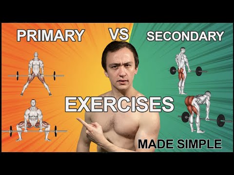 Primary & Secondary (and accessory) Exercises EXPLAINED - YouTube
