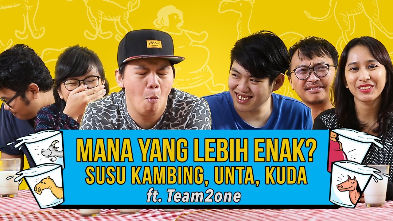 Enakan Minum Susu Kambing, Unta atau Kuda? Ft. TIM2ONE - YouTube