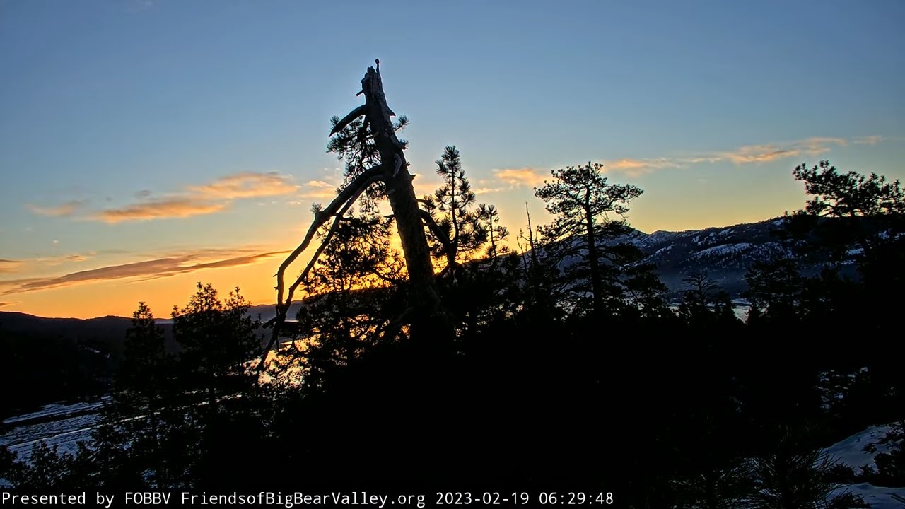Early Sunday morning FOBBV CAM - YouTube