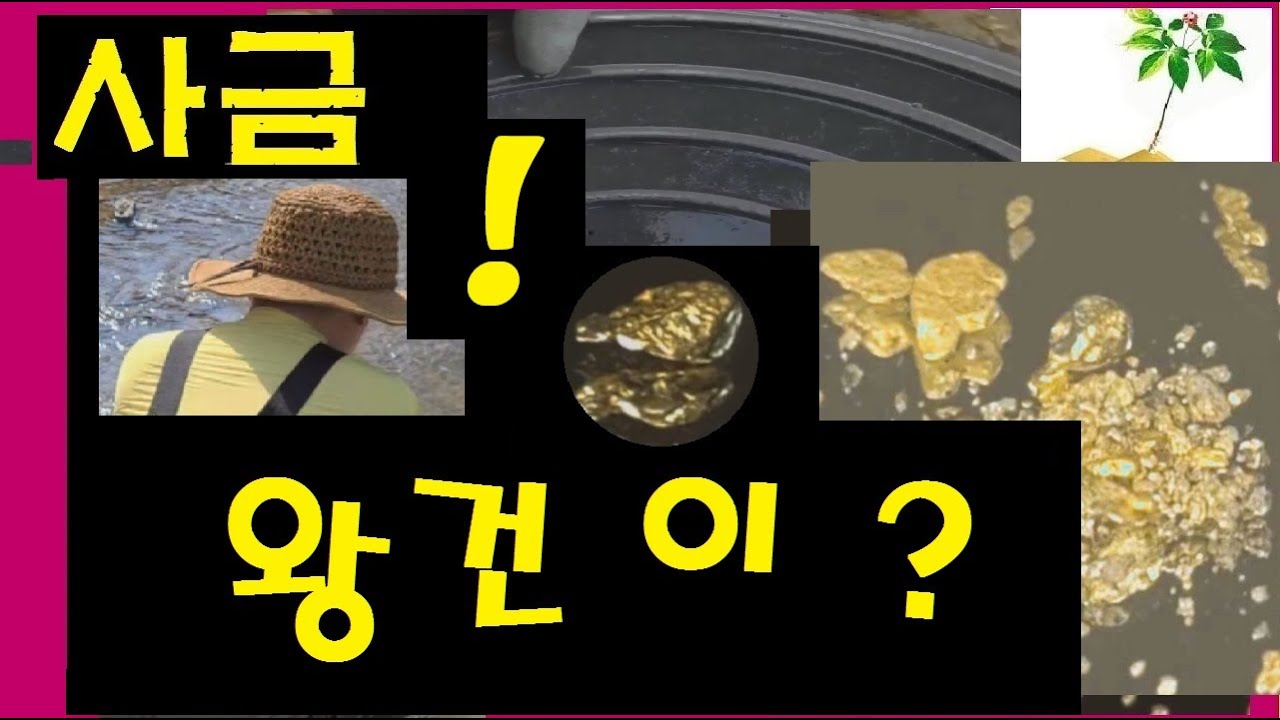 왕건이? 재미봤음 사금채취 9 탄-최고영상 I found gold panning prospecting in korea - YouTube