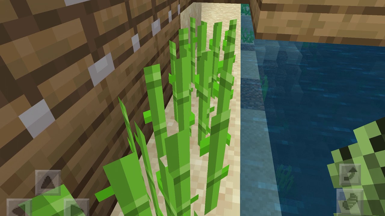 Automatic sugar cane farm - YouTube