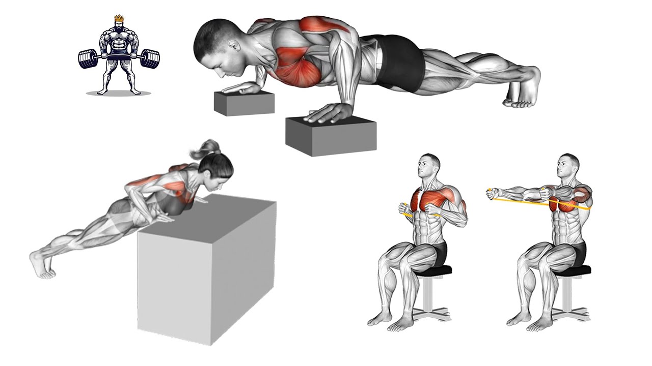 13 EXERCICES PECS A LA MAISON - YouTube