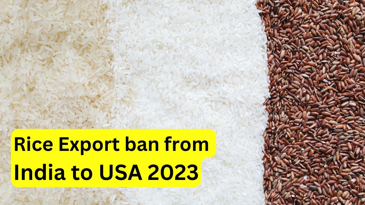 Rice export ban in India 2023 rice ban from india to usa India ban on ...