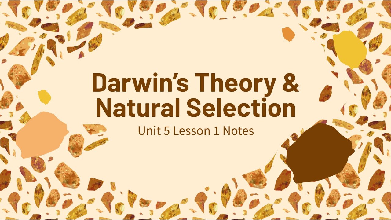 U5L1: Darwin, Evidence of Evolution, & Natural Selection - YouTube