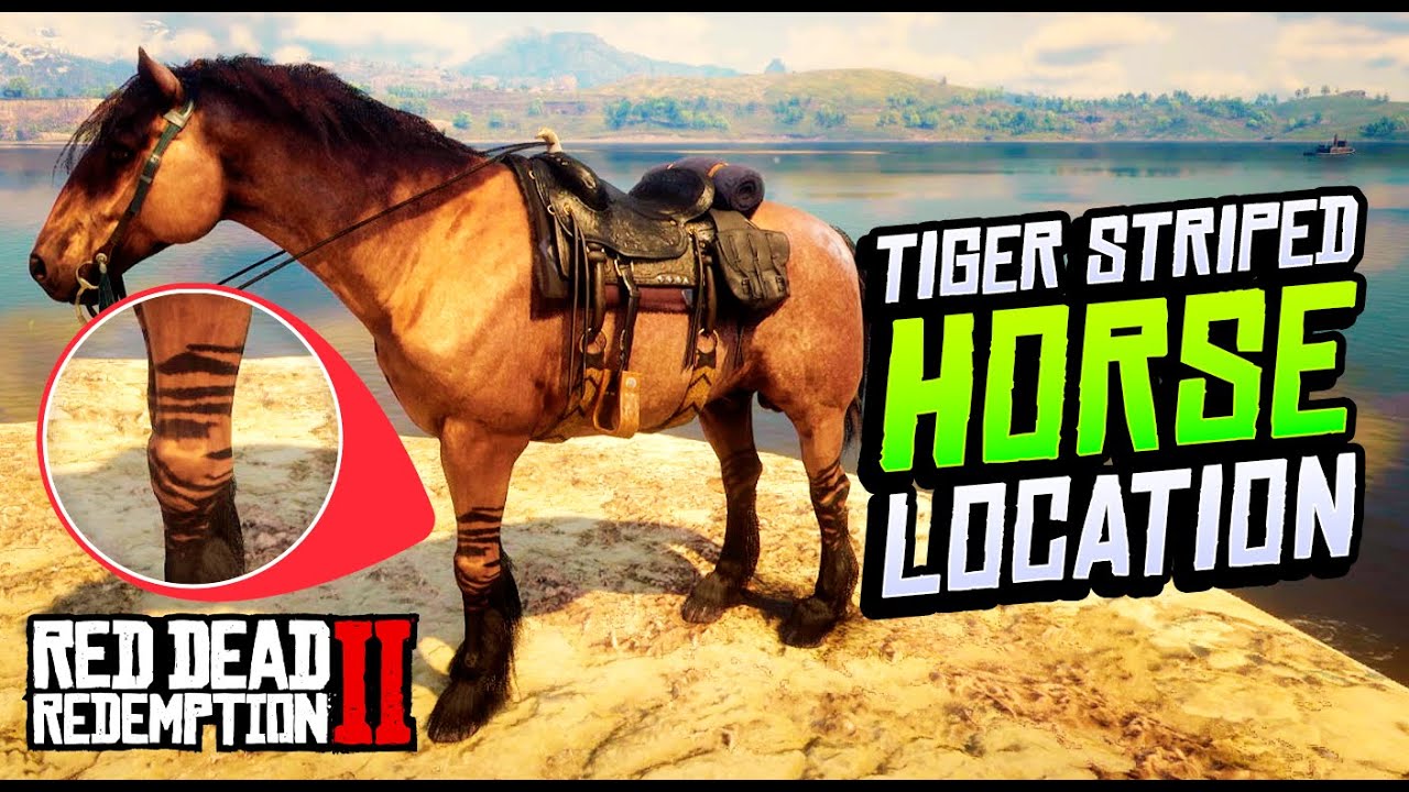 RDR2: SECRET Tiger-Striped Horse Location FAST & EASY Guide - YouTube