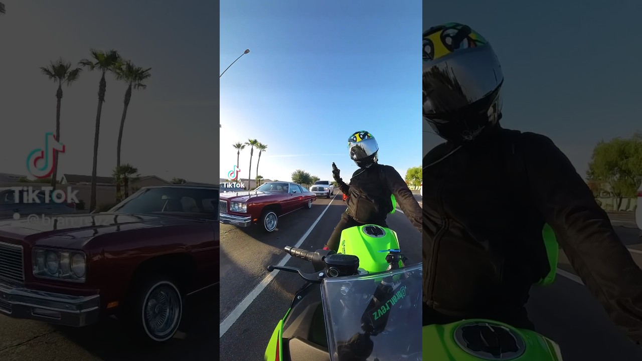 This low rider just looks happy 💚🥹 #motorcycle #lowrider #fyp #funny # ...