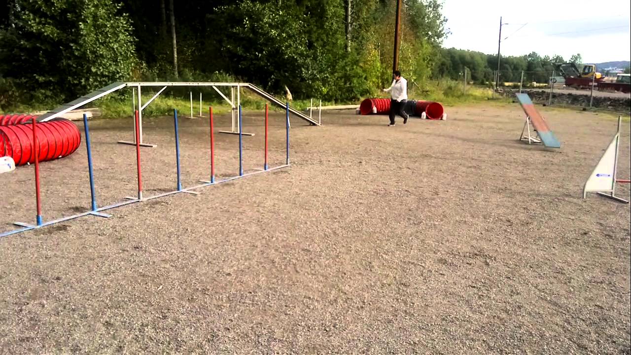 Emmi slalom + slutten på bane.mp4 - YouTube