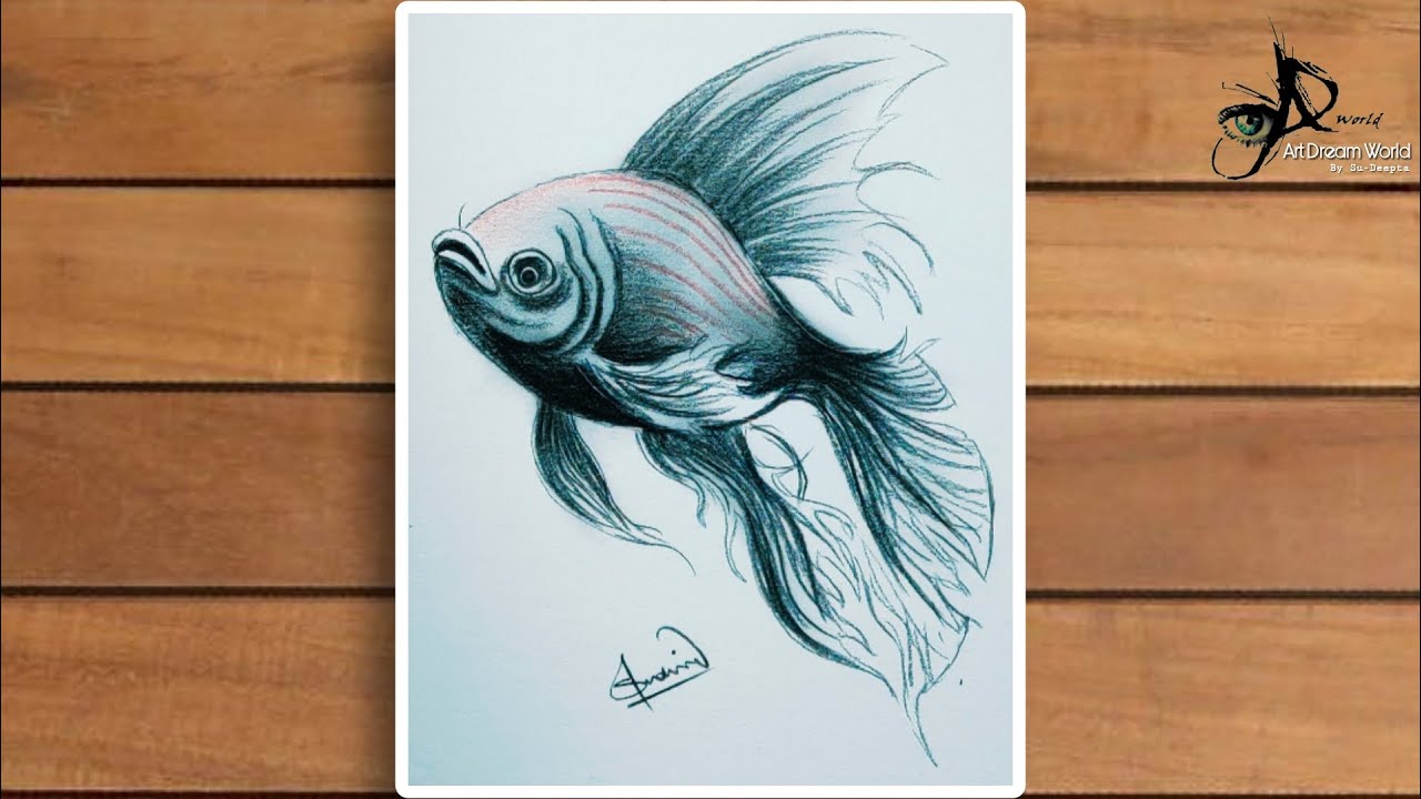 Easy Beutiful fish drawing || how to draw pencil drawing || aquarium ...