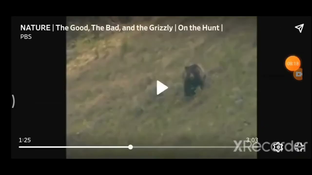 Grizzly Bad Good Nature PBS - YouTube
