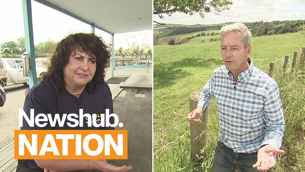 Port Waikato: National's Andrew Bayly vs NZ First newcomer Casey ...