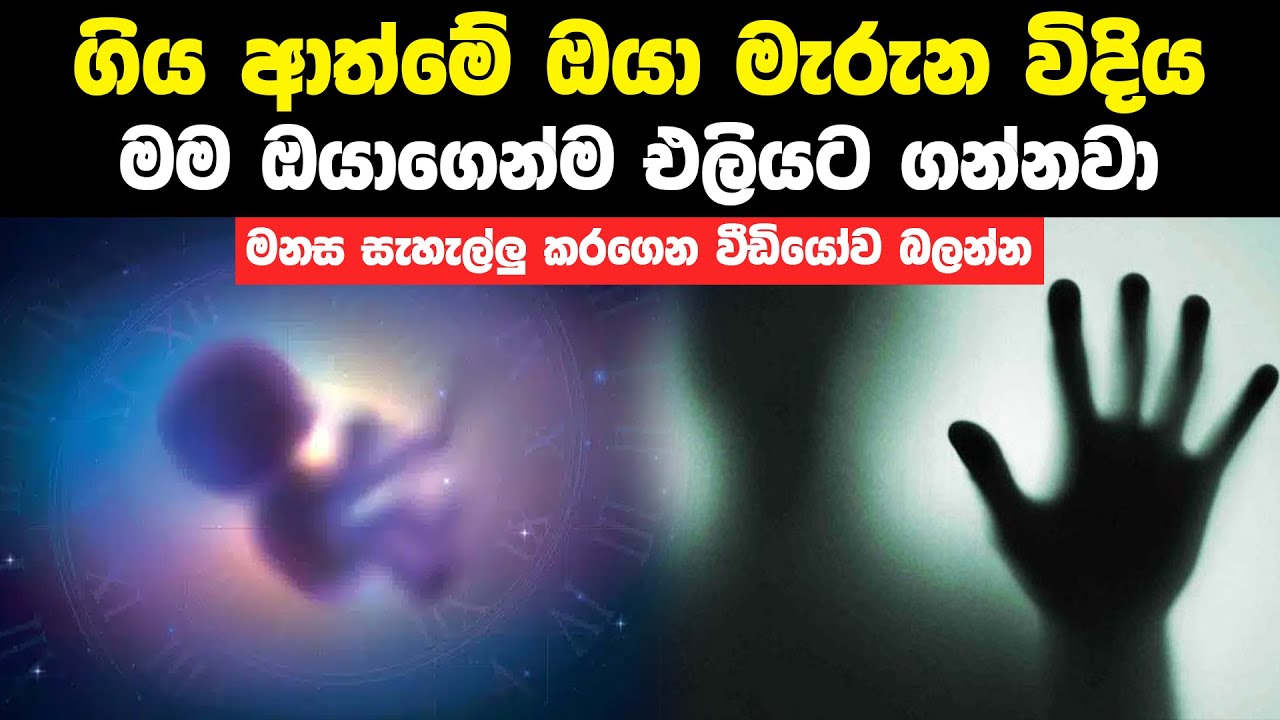 ගිය ආත්මෙ ඔයා නැති වුනේ මෙන්න මෙහෙමයි | Your Past Life Test - YouTube