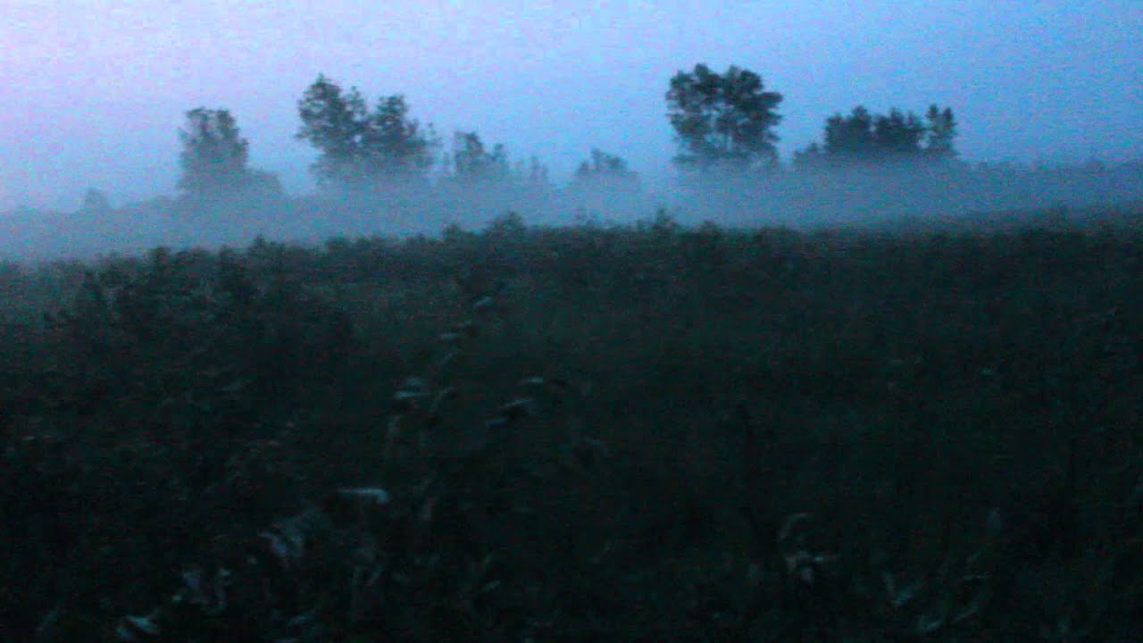 June 28, 2015 - Transcona Bioreserve (#3) - YouTube