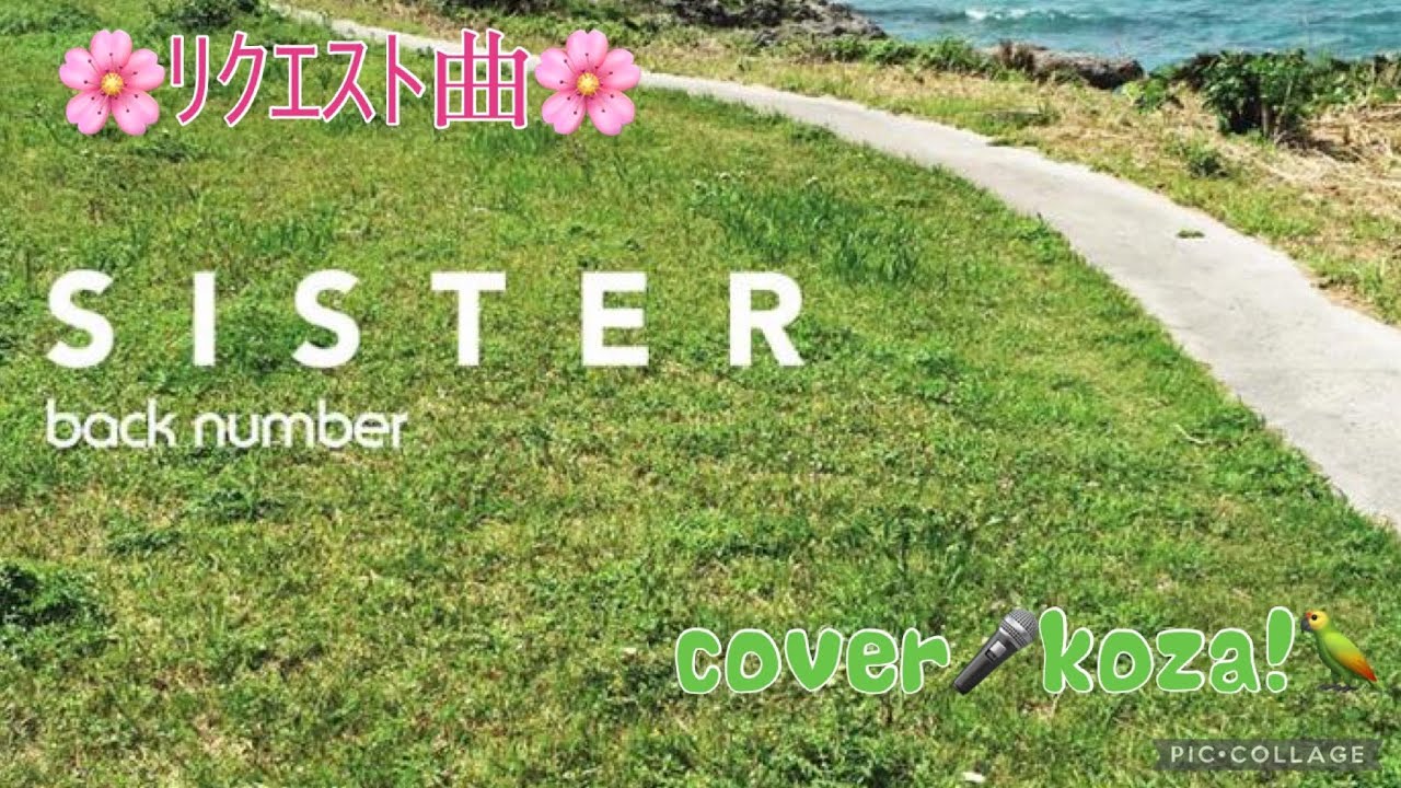 23'🌸ﾘｸｴｽﾄ曲🌸SISTER🤗 back number cover🎤koza！ - YouTube