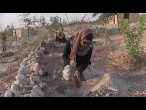 Greening the Desert revisited - YouTube